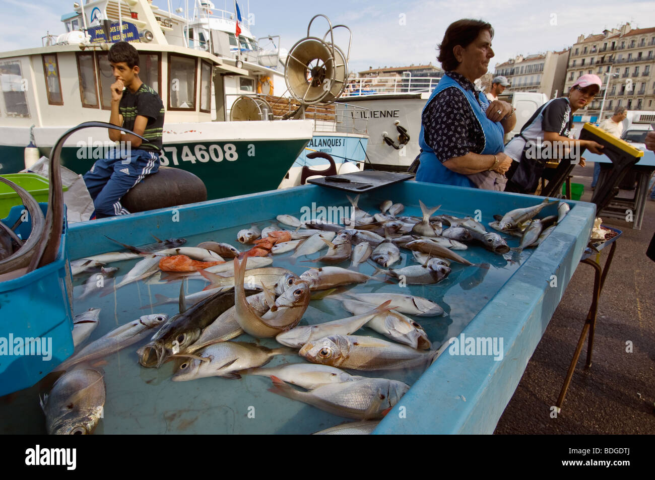 Marseille port fish hi-res stock photography and images - Alamy