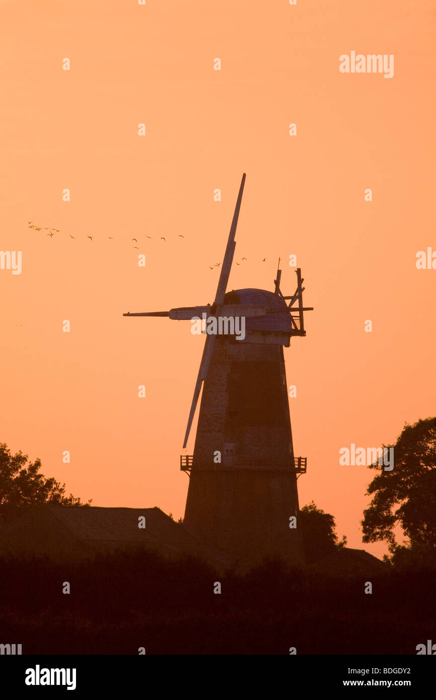 Birds Flying Behind Sutton Mill, Norfolk Broads, at Sunset Stock Photo ...