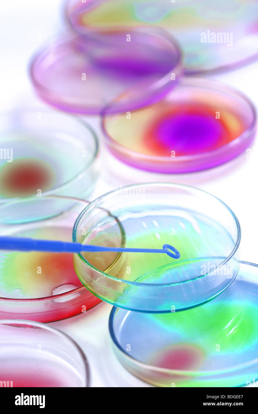 Petri Plate Use at James Auxier blog