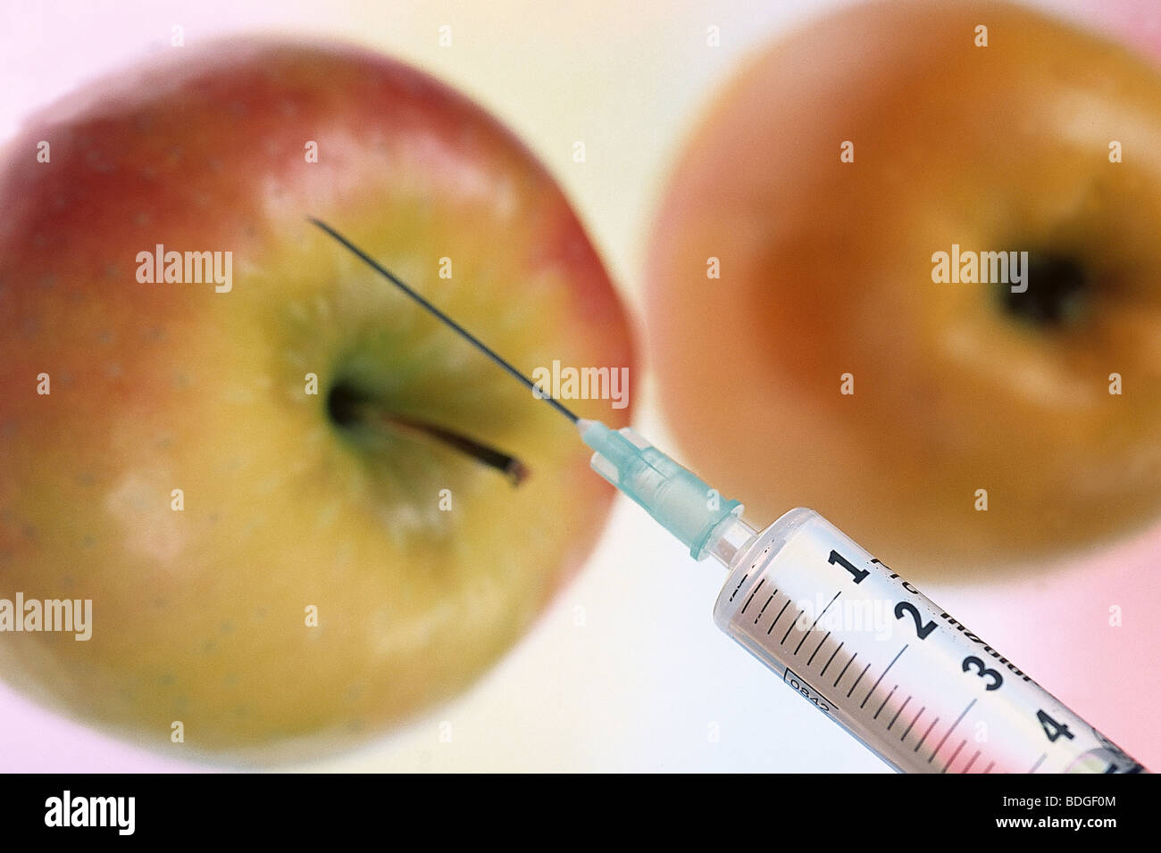 Transgenic apple hi-res stock photography and images - Alamy