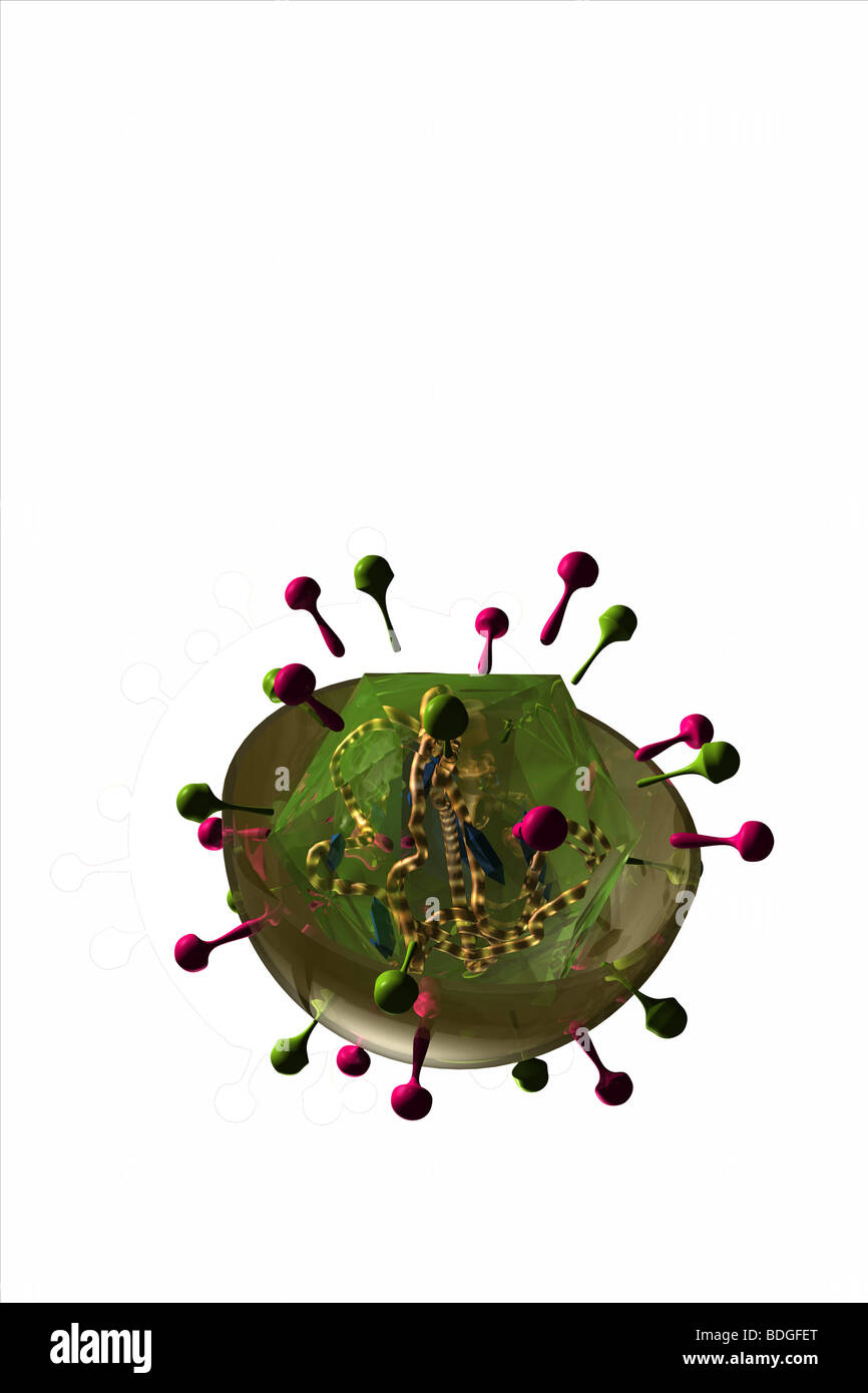 Hepatitis c drawing Cut Out Stock Images & Pictures - Alamy