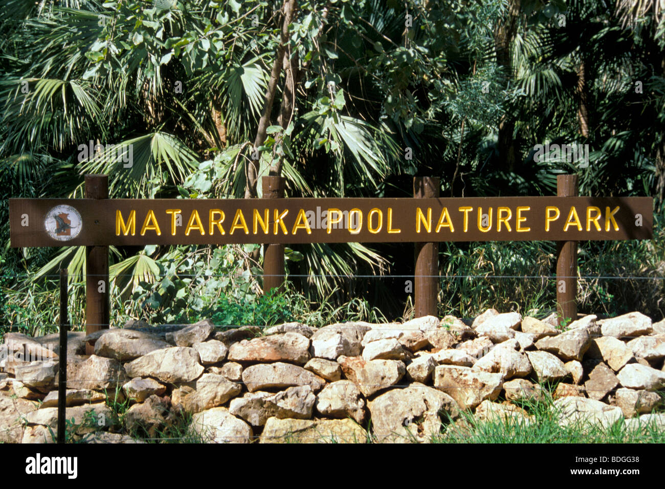 australia, oceania, mataranka pool nature park, sydney Stock Photo - Alamy
