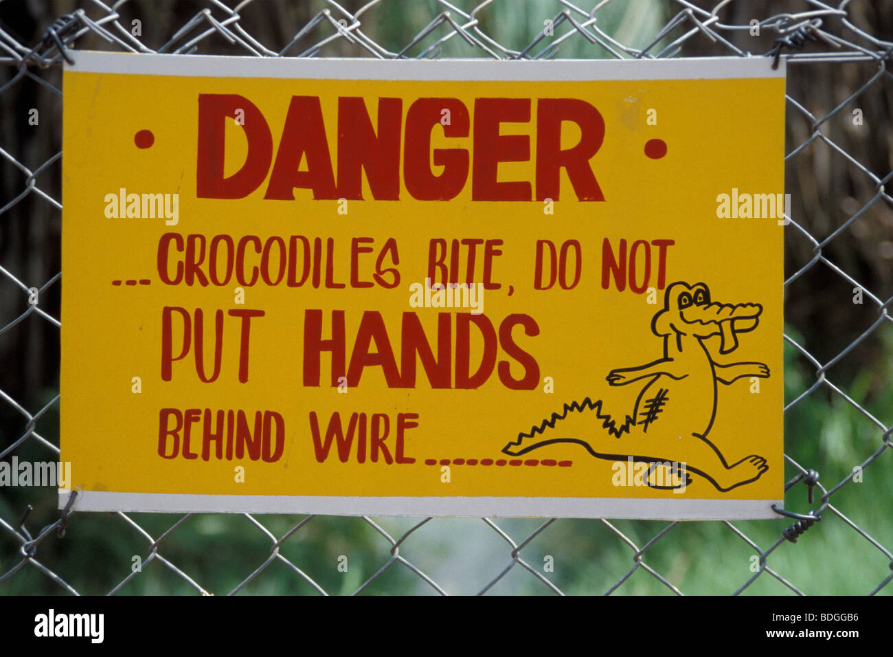 australia, oceania, mataranka pool nature park, sydney Stock Photo - Alamy