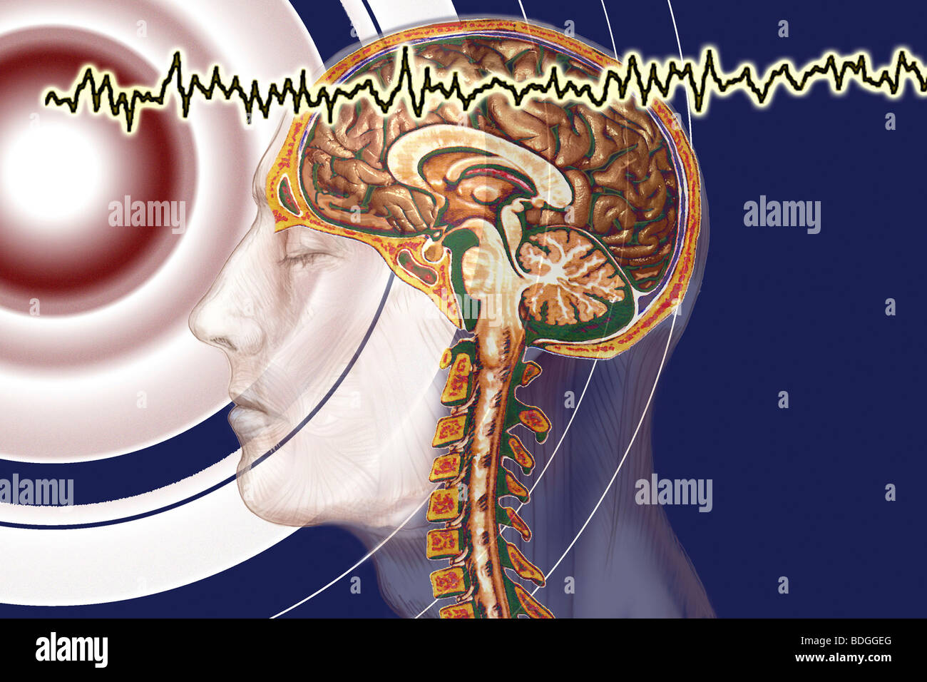 Sleep Eeg Stock Photos & Sleep Eeg Stock Images - Alamy
