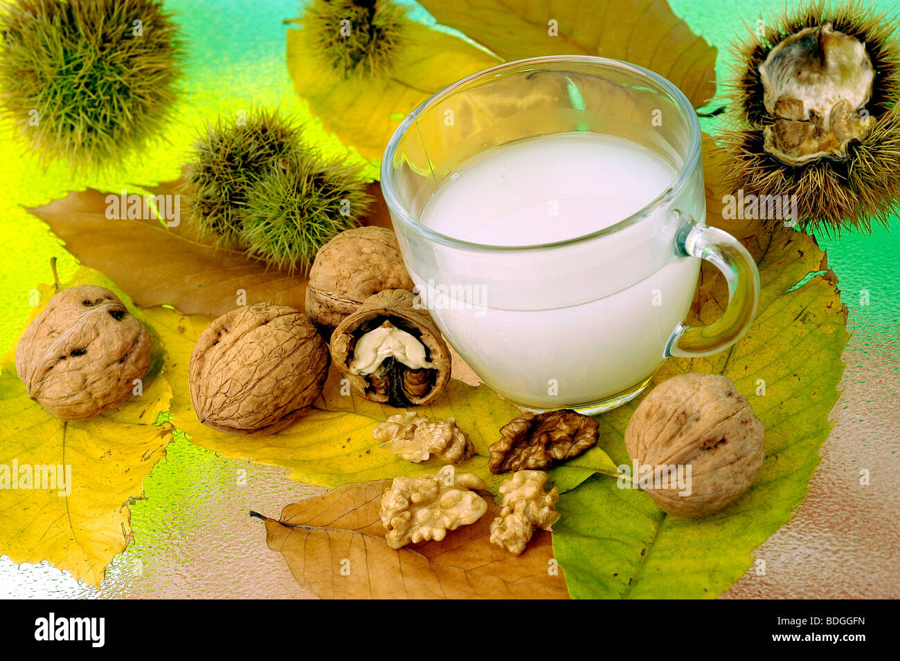 Walnut fruiting hi-res stock photography and images - Alamy