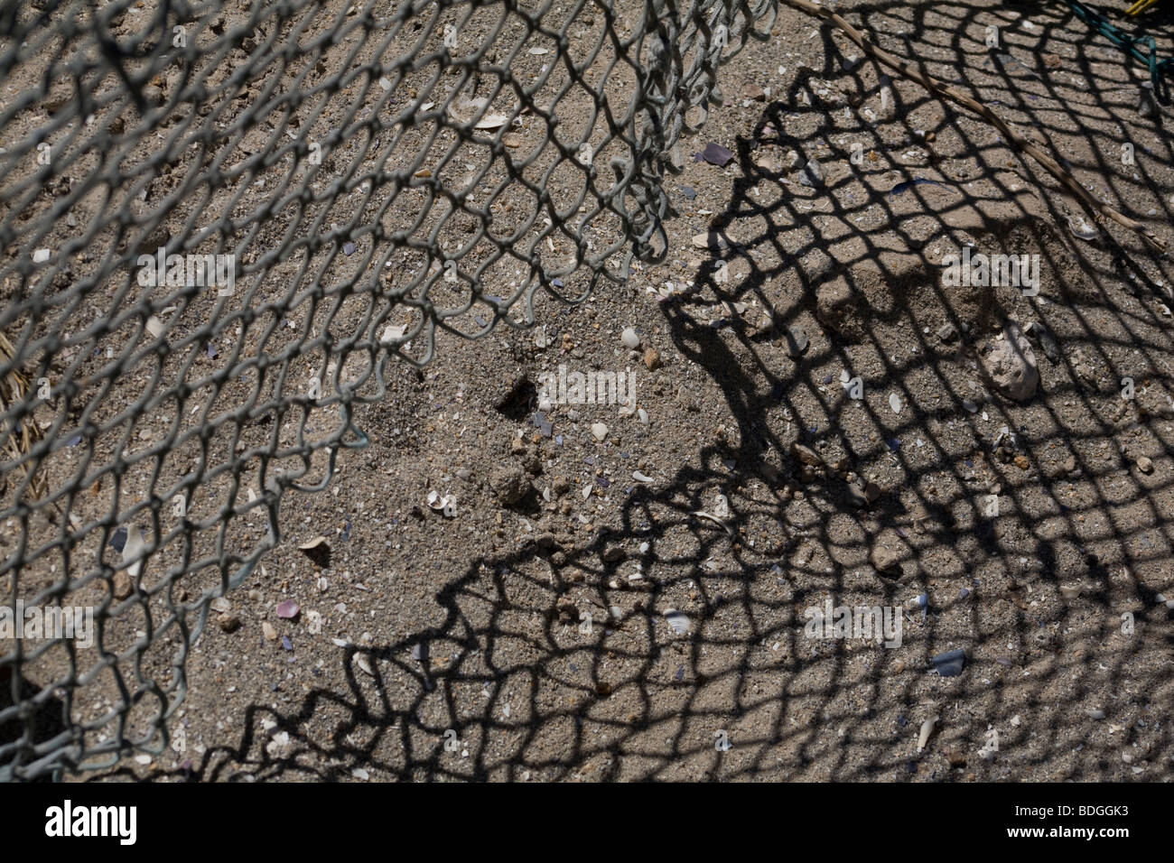 Fishing nets, West Coast, Western Cape, South Africa Stock Photo - Alamy
