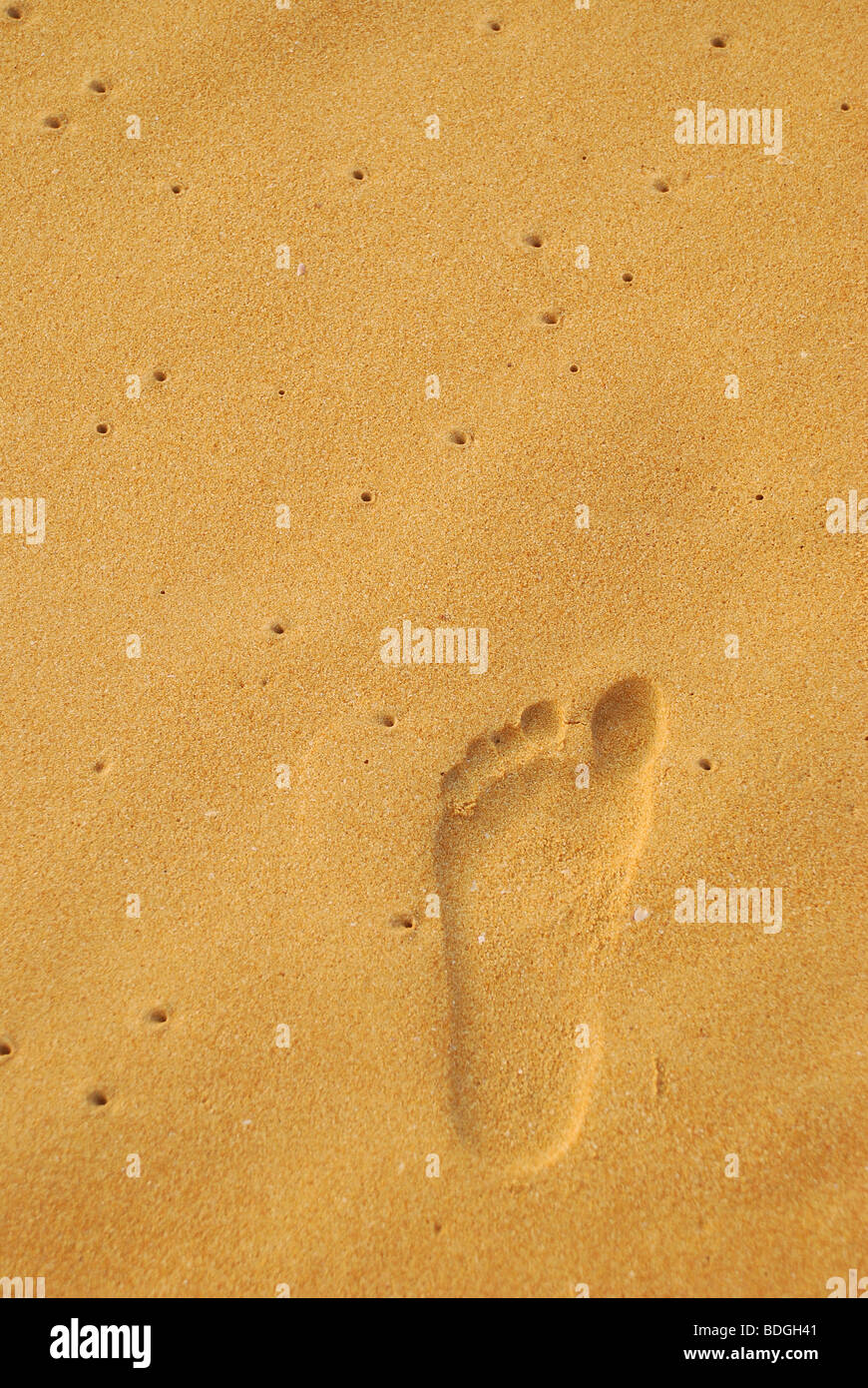 footstep on sand Stock Photo - Alamy