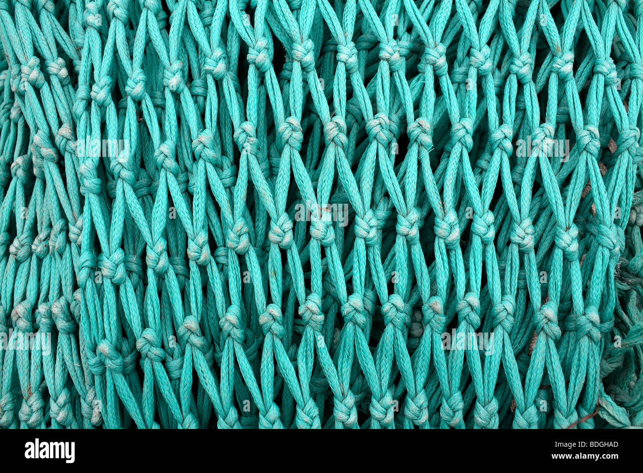 Fishing knots closeup hi-res stock photography and images - Alamy