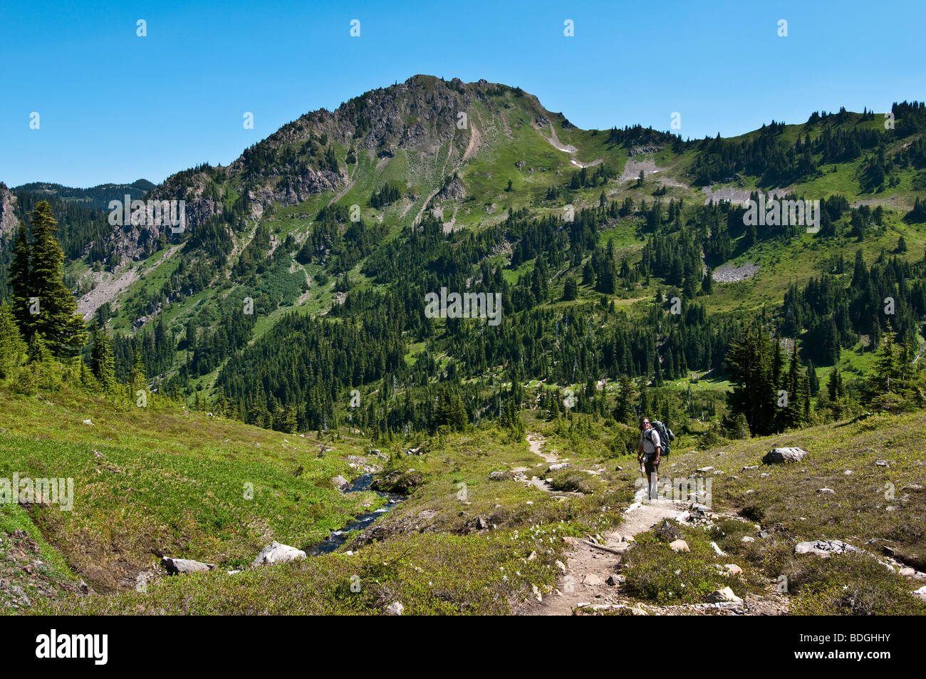 Hiker on Sol Duc Park to High Divide Trail, Olympic National Park ...