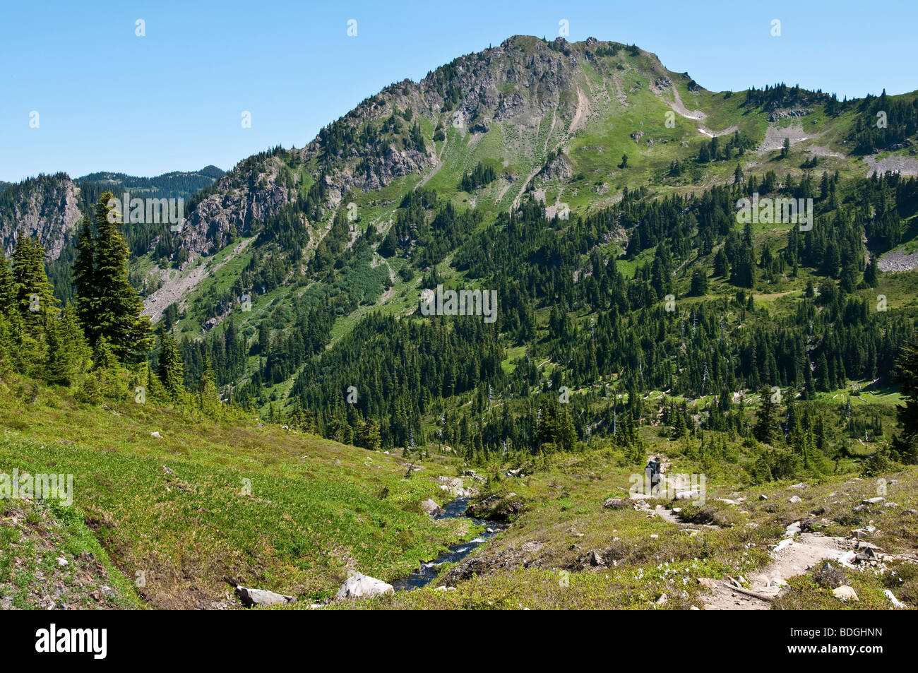 Hiker on Sol Duc Park to High Divide Trail, Olympic National Park ...
