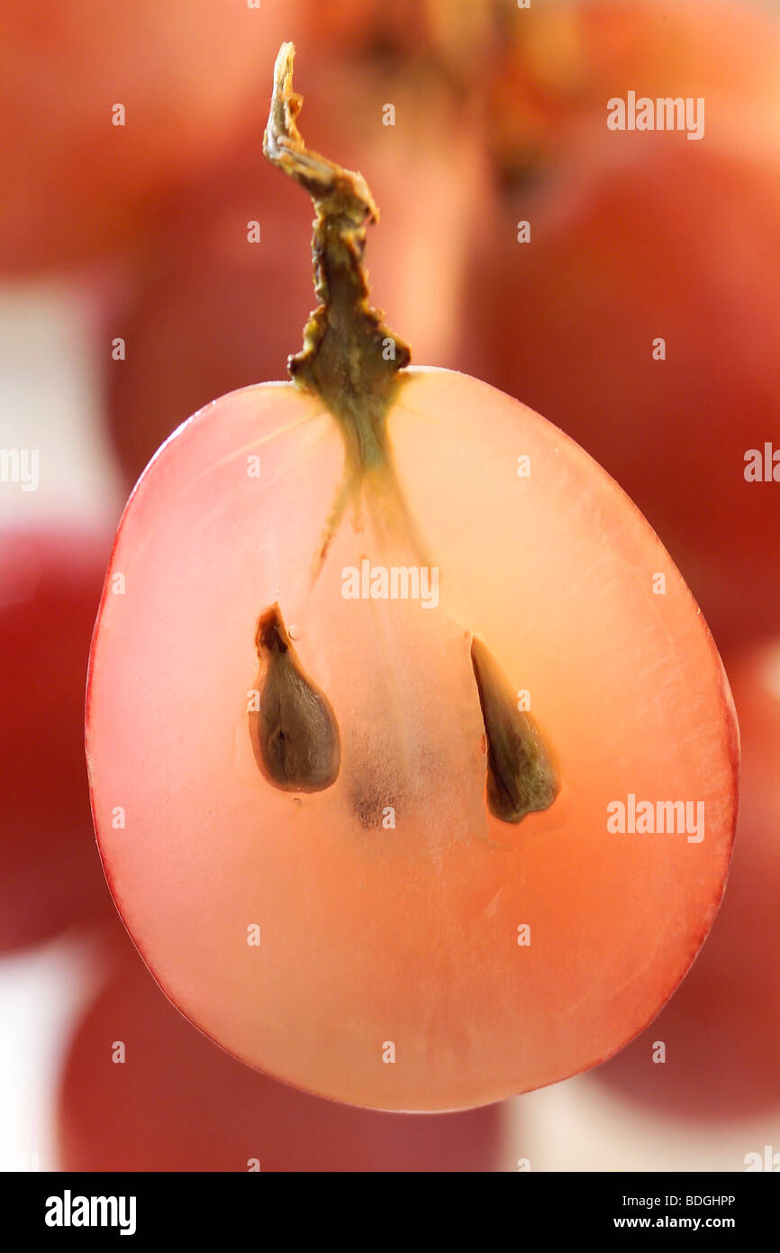 Grape pips hi-res stock photography and images - Alamy