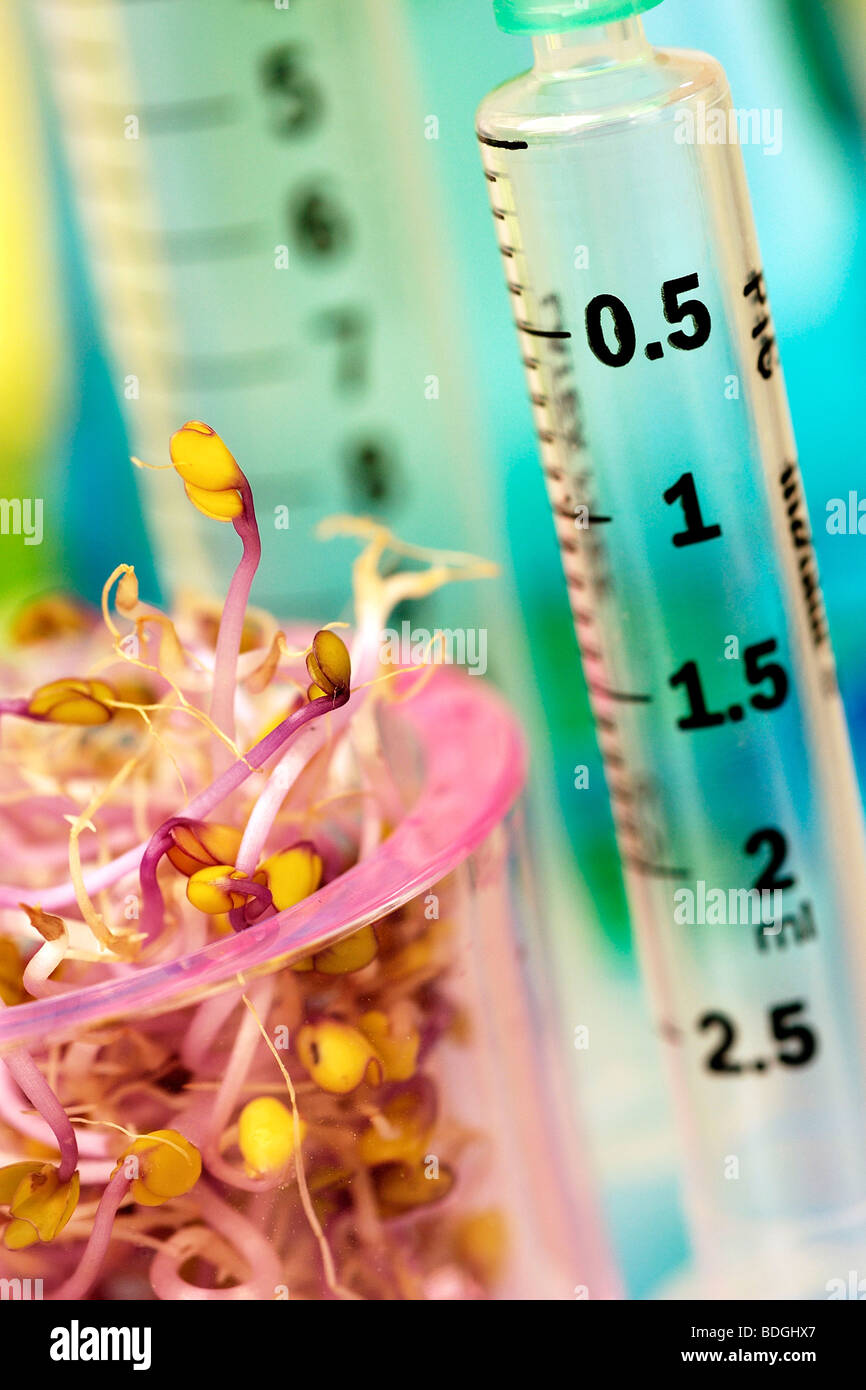 Genetic engineering soybean hi-res stock photography and images - Alamy