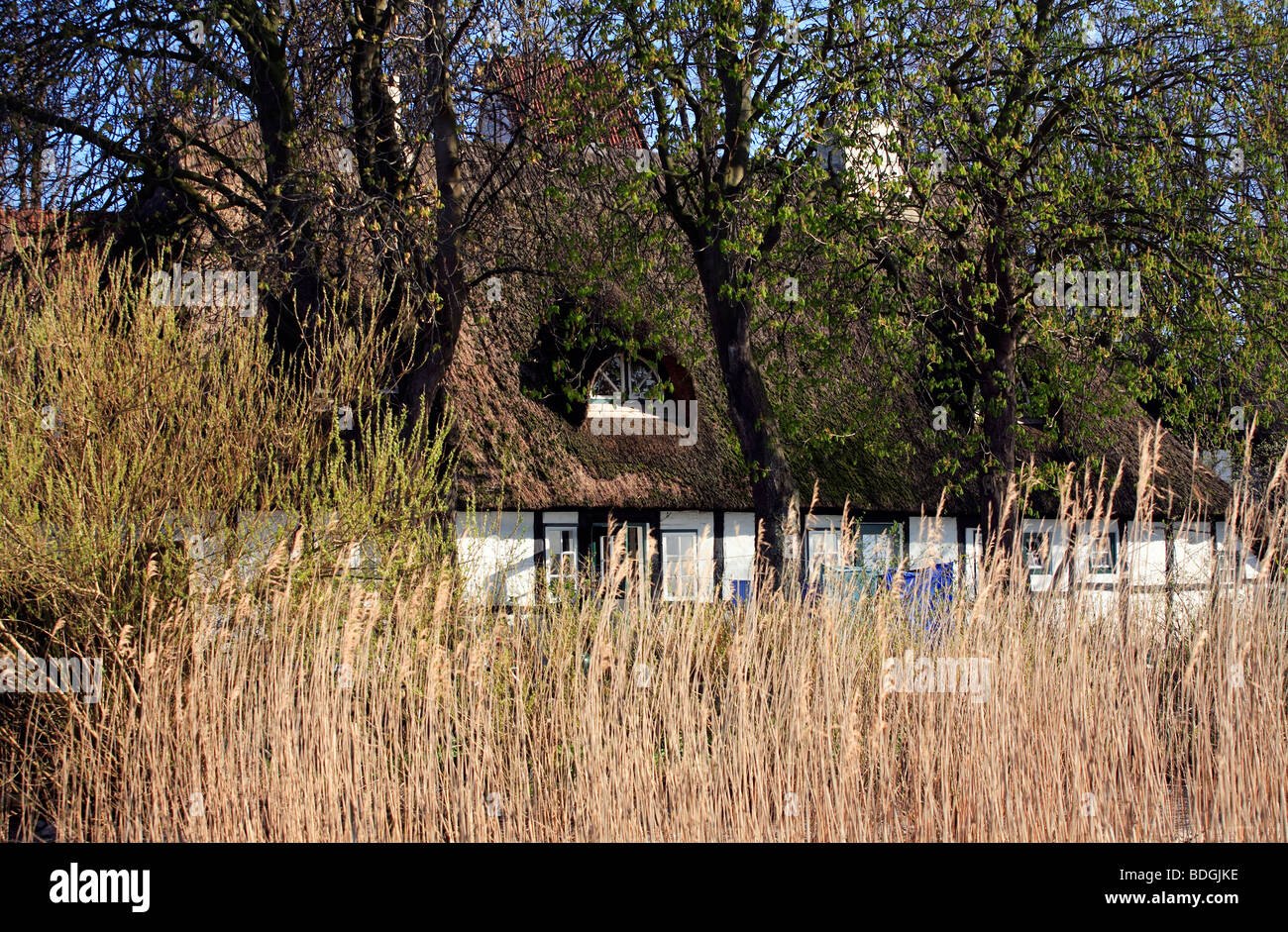 Sieseby hi-res stock photography and images - Alamy