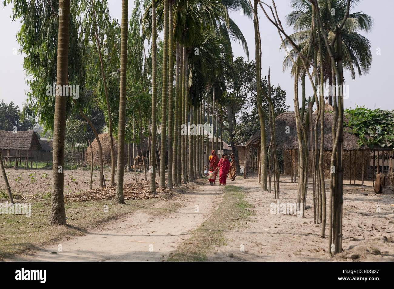 Rural dirt road bangladesh hi-res stock photography and images - Alamy