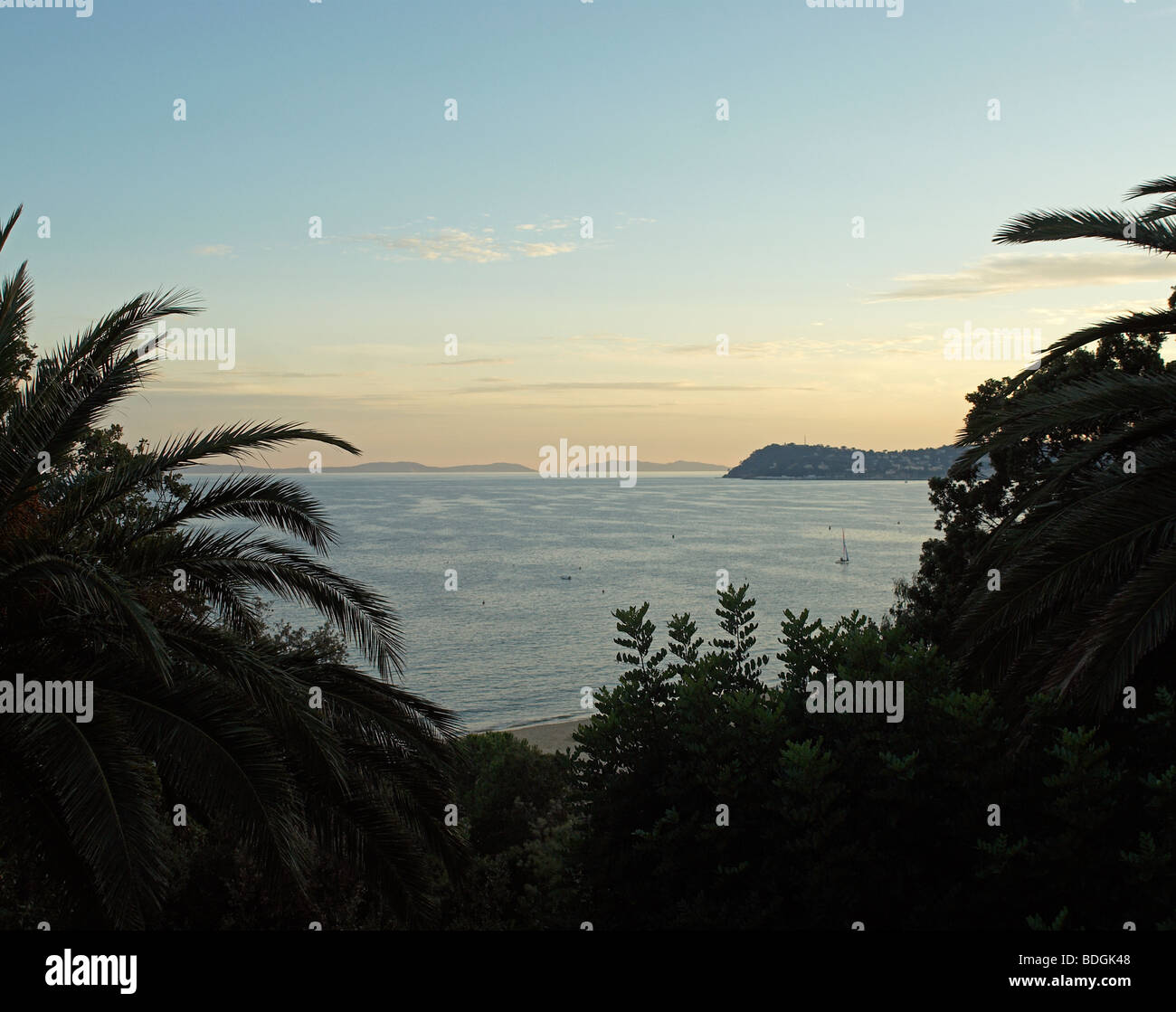 view between silhouetted palm trees of beautiful French riviera ...