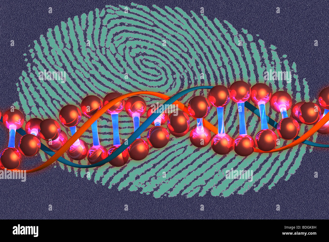 Forensic science footprint hi-res stock photography and images - Alamy