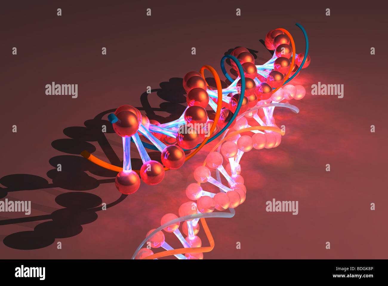 Helicoidal helixes hi-res stock photography and images - Alamy