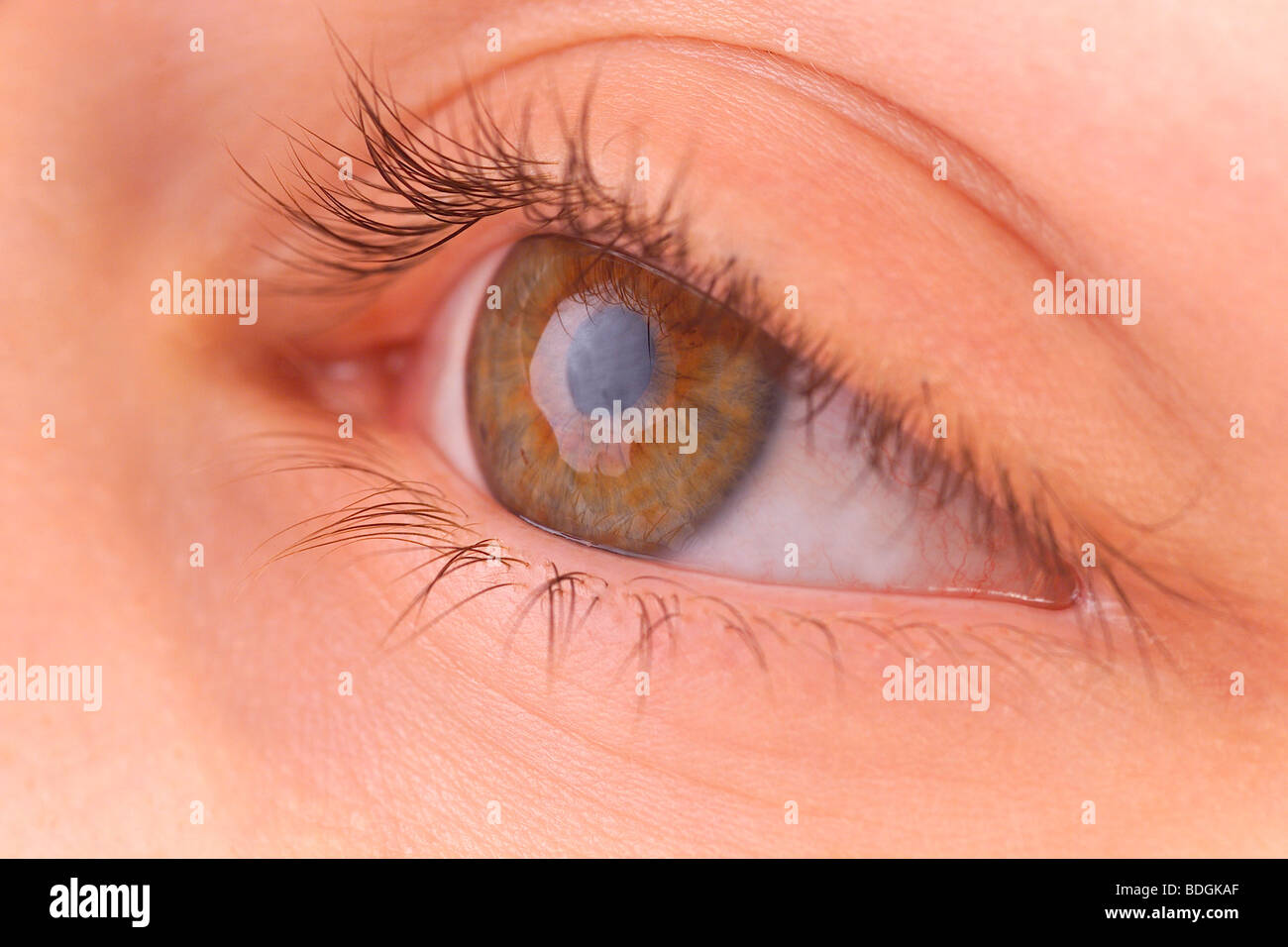 See seeing look looking view viewing visual eyes eyesight hi-res stock ...