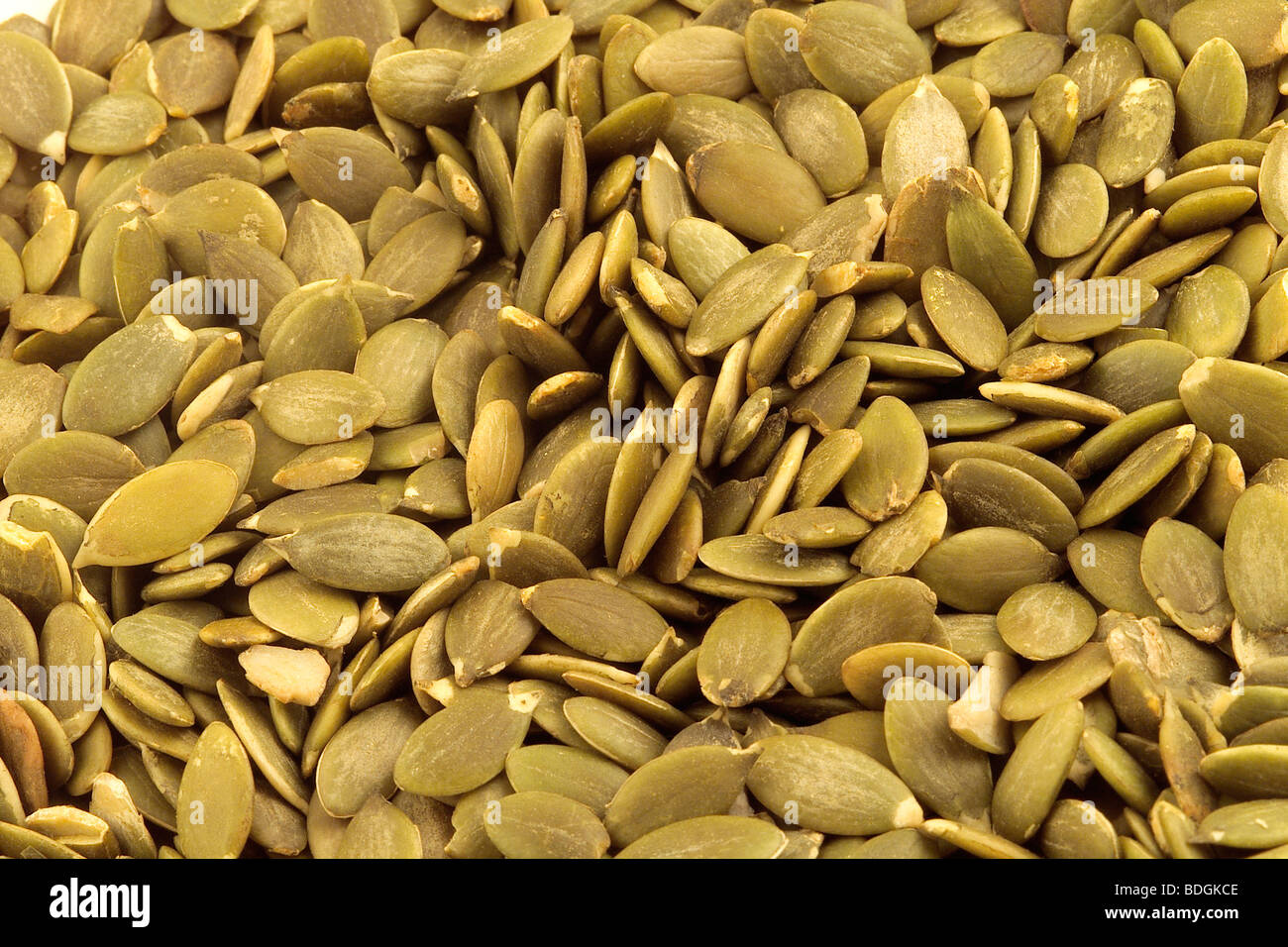 Seed prostate hi-res stock photography and images - Alamy