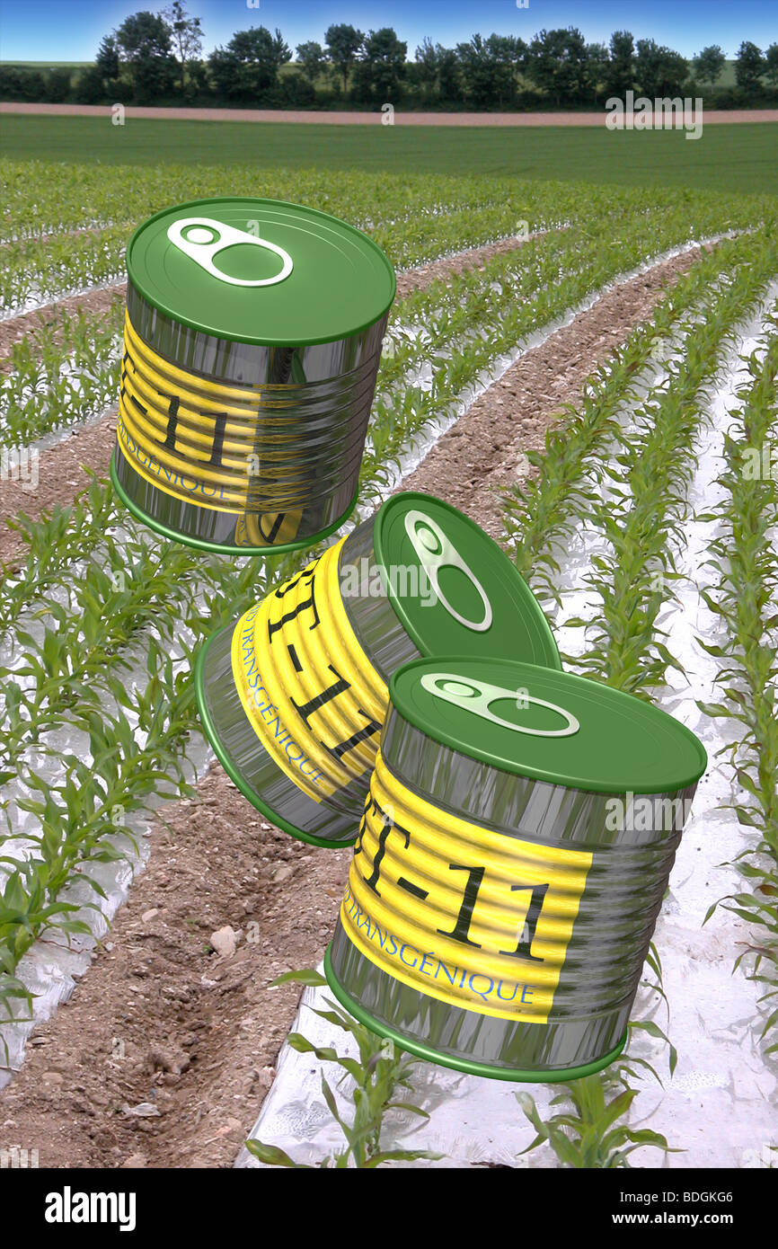 Genetically modified food drawings hi-res stock photography and images ...