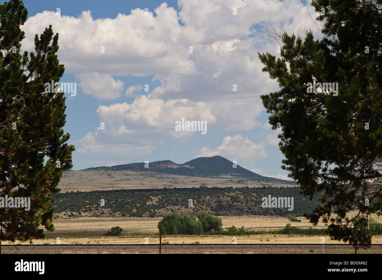 Springer new mexico hi-res stock photography and images - Alamy