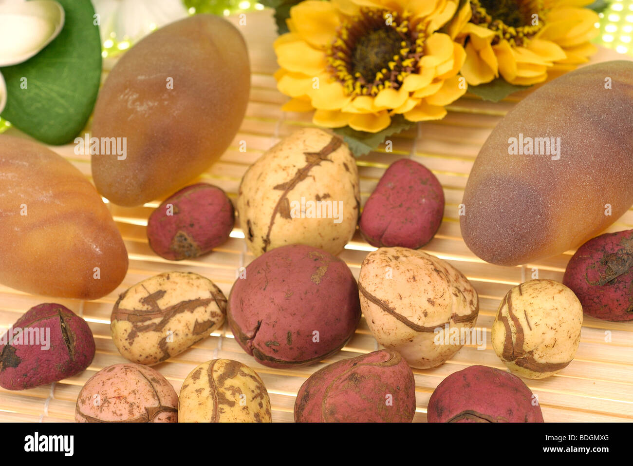 COLA NUT FRUIT Stock Photo - Alamy