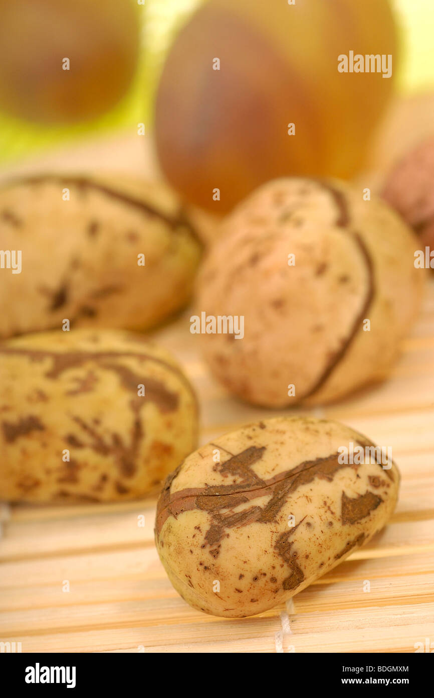 COLA NUT FRUIT Stock Photo - Alamy