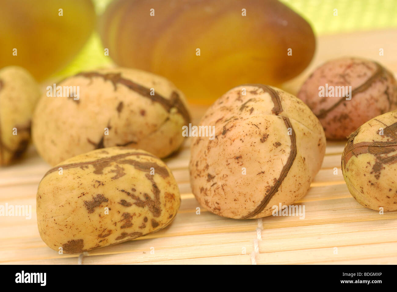 COLA NUT FRUIT Stock Photo - Alamy