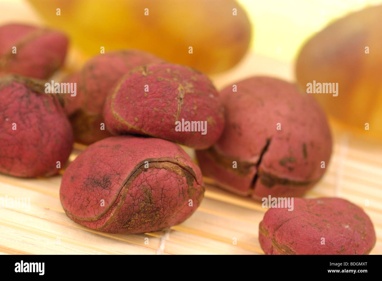 Cola nut hi-res stock photography and images - Alamy