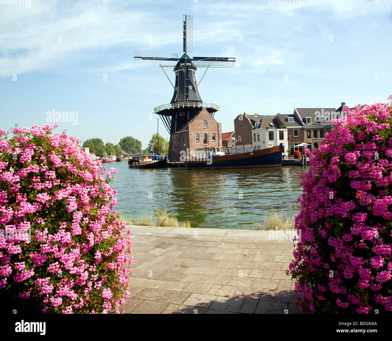 Moulin de adriaan windmill haarlem hi-res stock photography and images ...