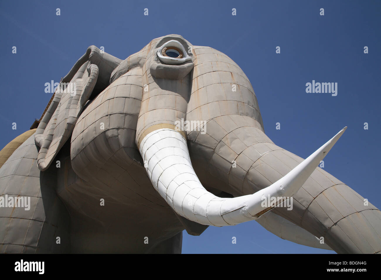Looking up at Lucy the Elephant from below left tusk Stock Photo - Alamy
