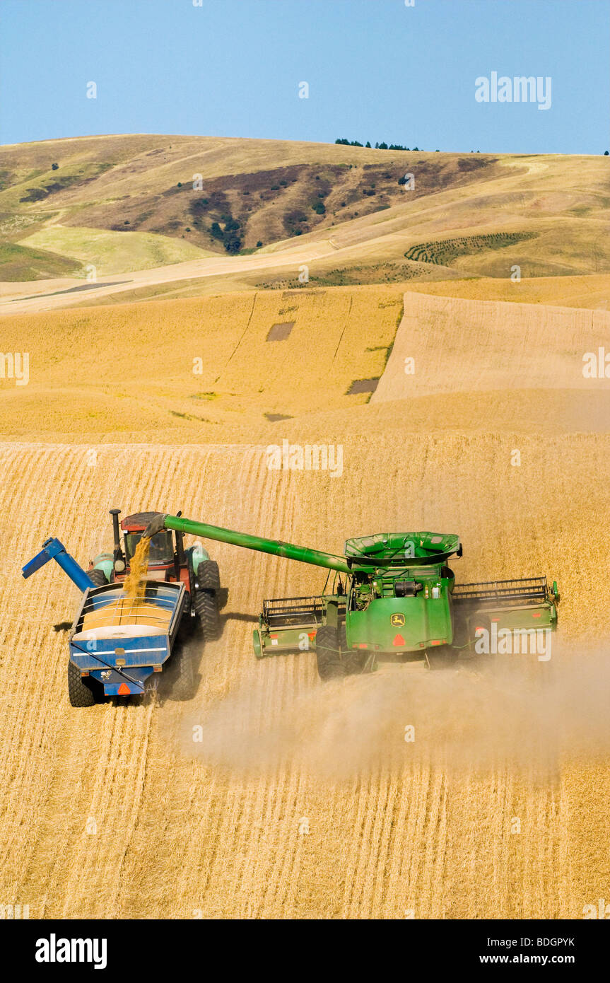 Wheat on wagon hi-res stock photography and images - Alamy
