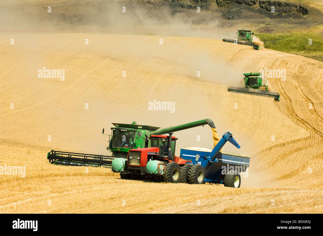 Combine unloading grain on go hi-res stock photography and images - Alamy