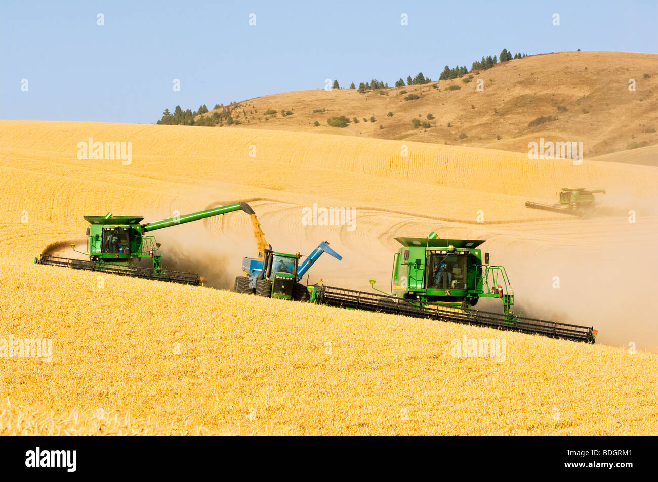 Combine unloading grain on go hi-res stock photography and images - Alamy