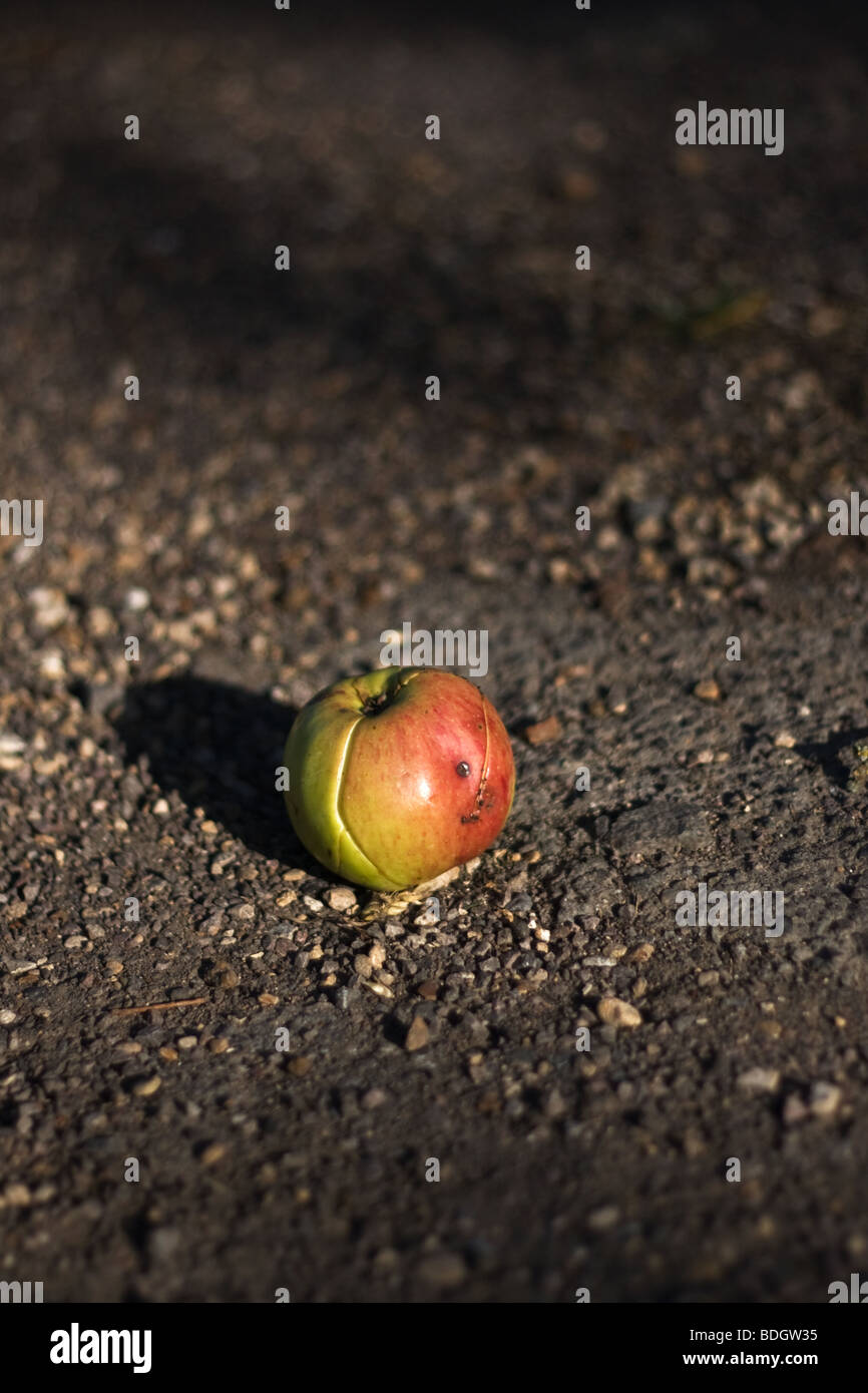 An over ripe apple on a gravel track lit by the sun causing a shadow ...