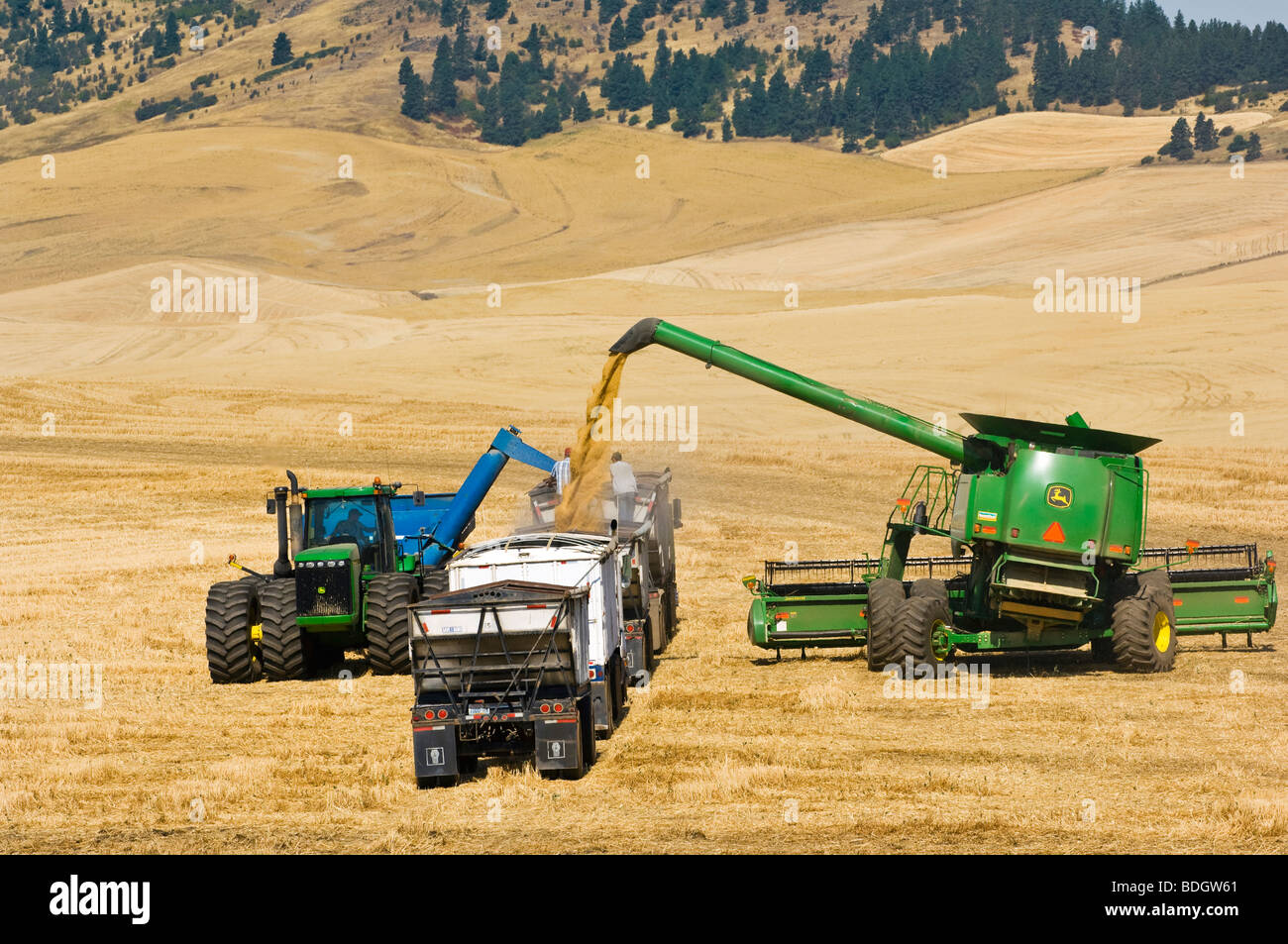 Combine grain wagon unload freshly hi-res stock photography and images ...