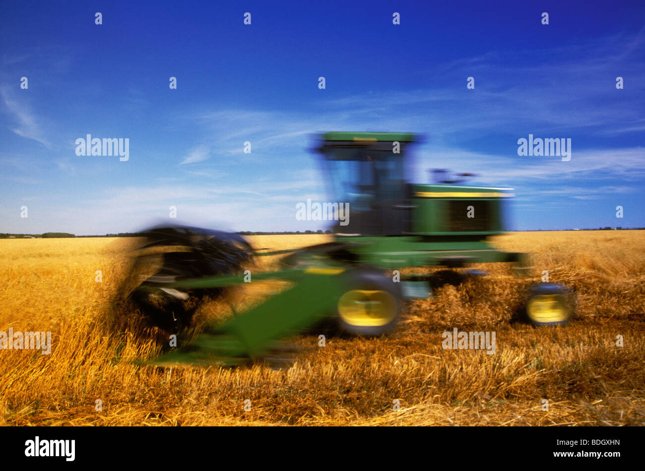 Swathing Wheat Stock Photos & Swathing Wheat Stock Images - Alamy