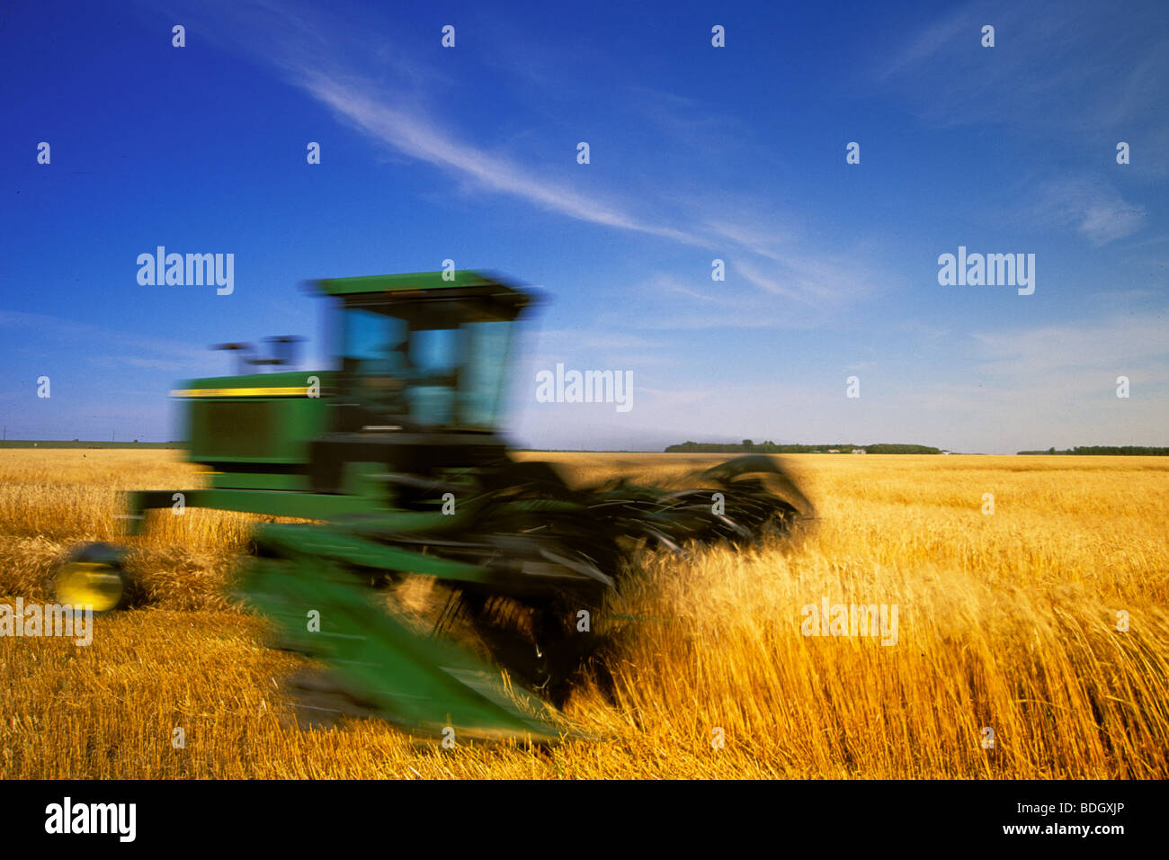 Swathing Wheat High Resolution Stock Photography and Images - Alamy