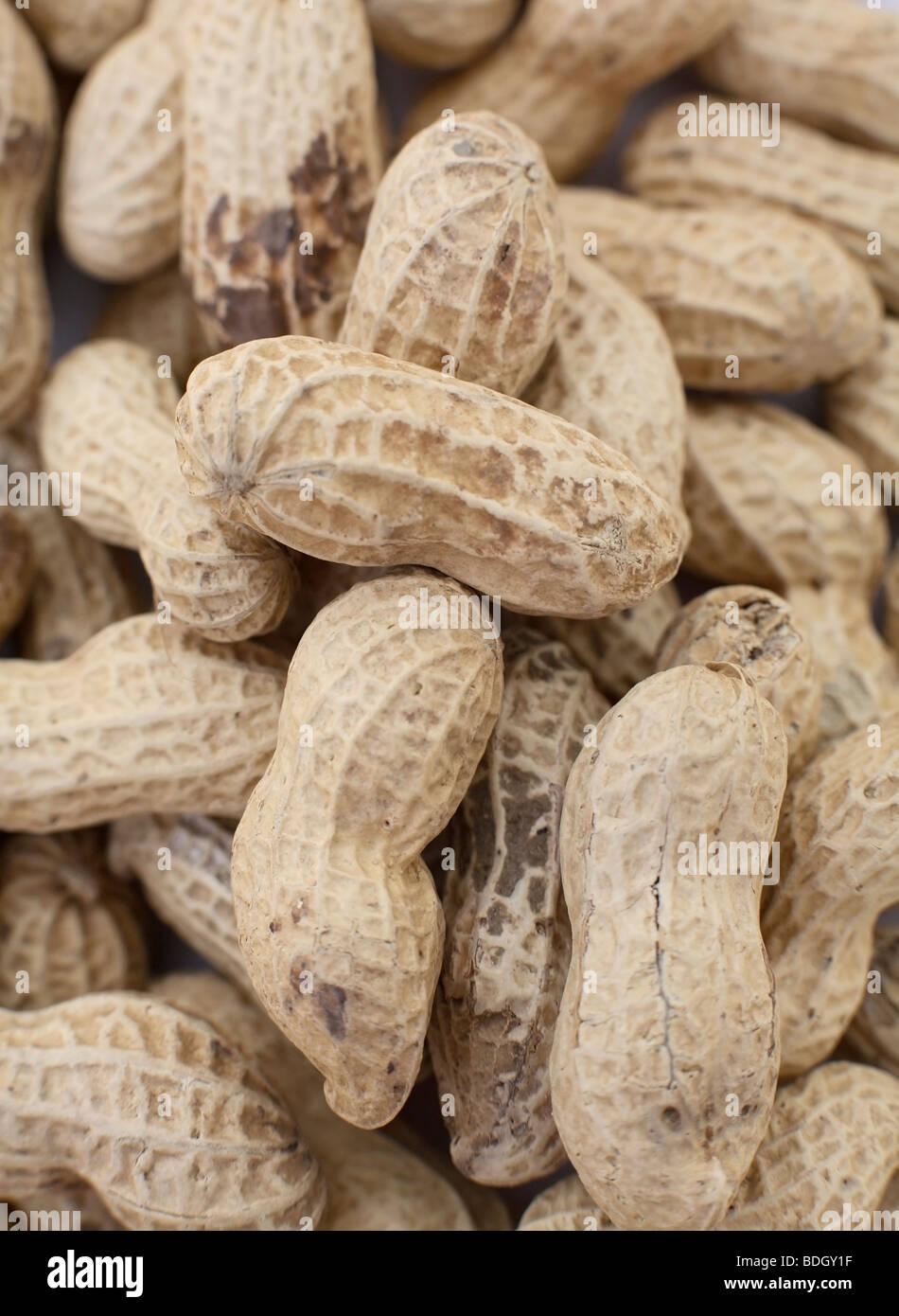Close up monkey nuts hi-res stock photography and images - Alamy