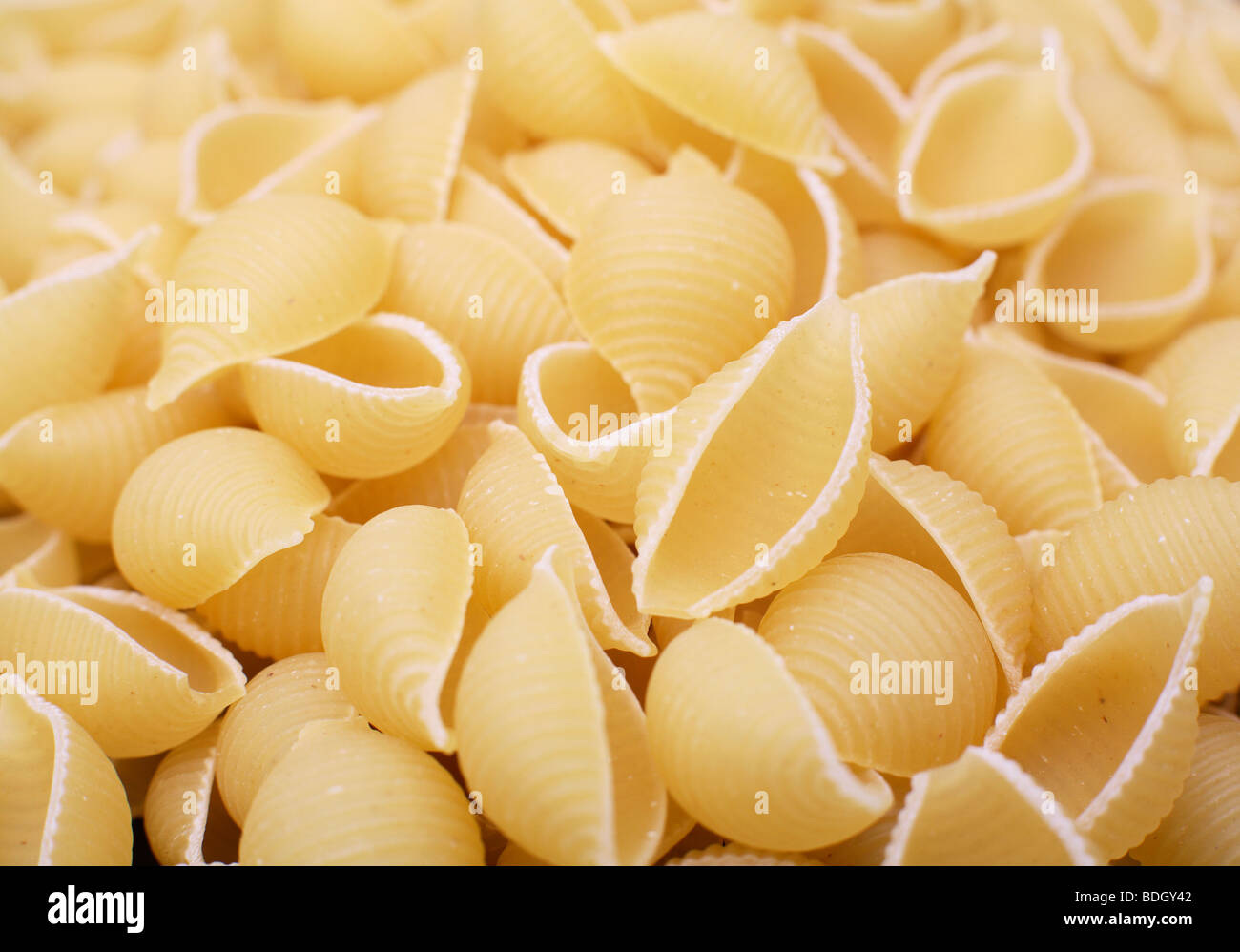 Close up of conchiglie pasta shells Stock Photo - Alamy