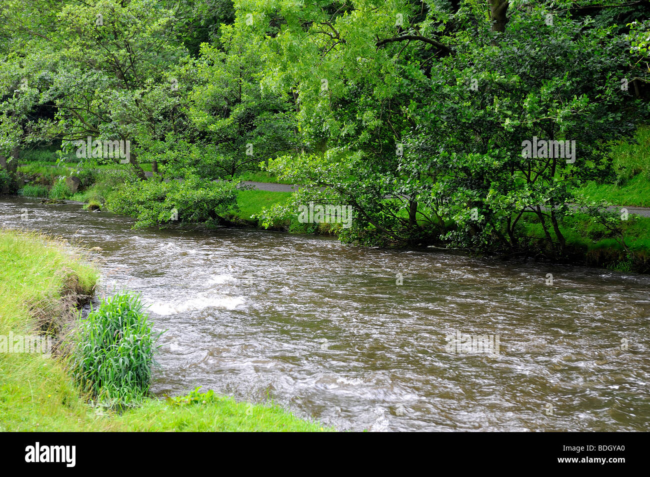 The Dovedale area of Derbyshire, the southern end of the Peak district ...