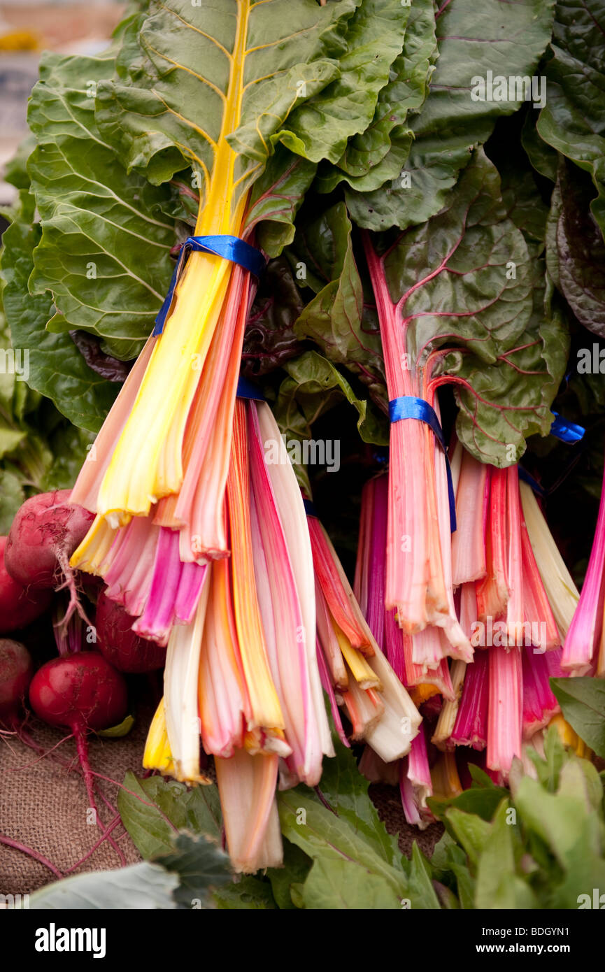 Bundles of Rainbow Chard and radishes at a farmer's market Stock Photo ...