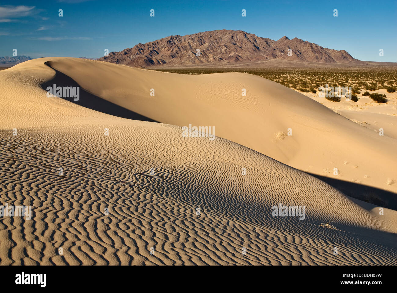 Cadiz Dunes, Ship Mountains in distance, Mojave Trails National ...