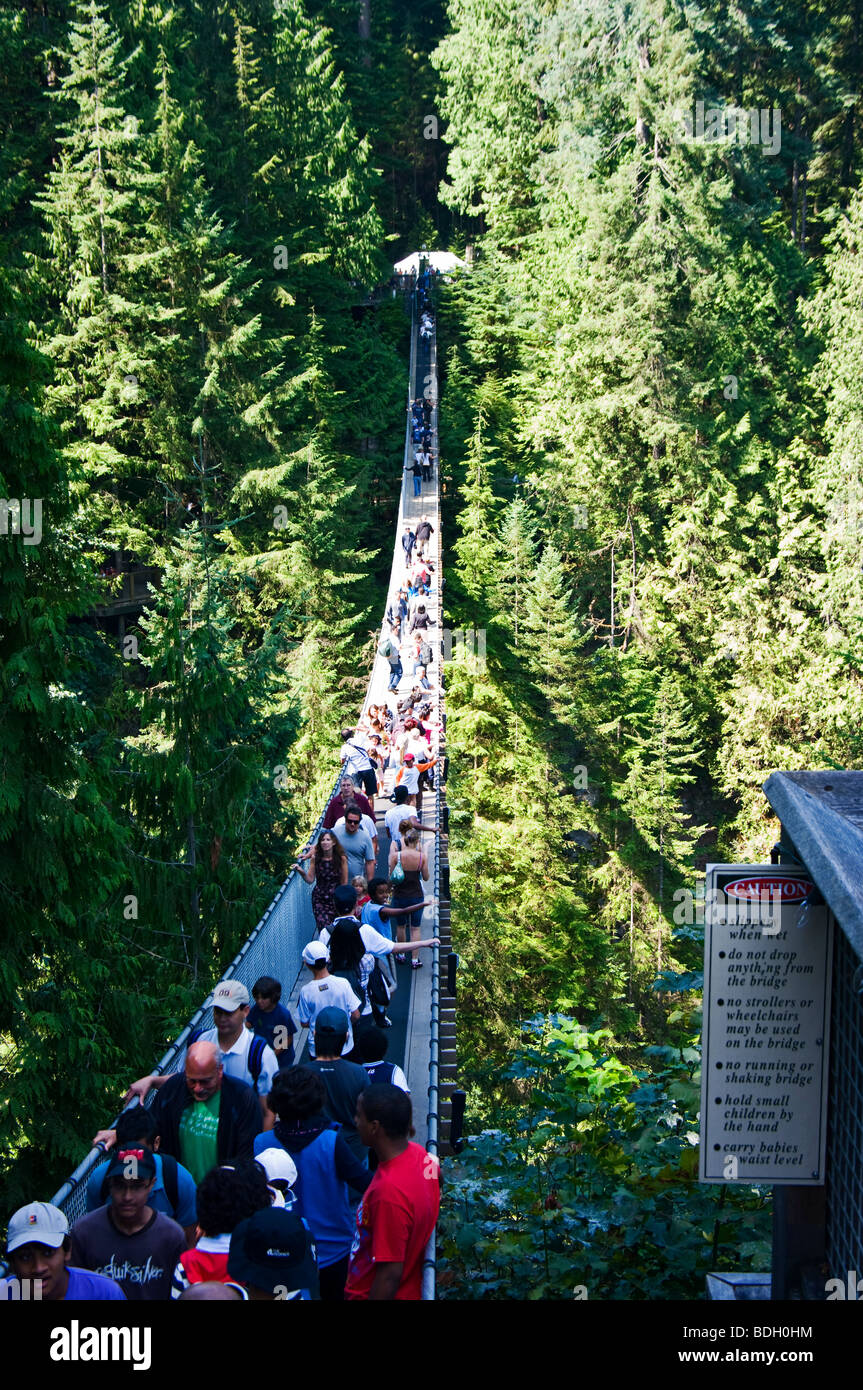 Capilano suspension bridge hi-res stock photography and images - Alamy