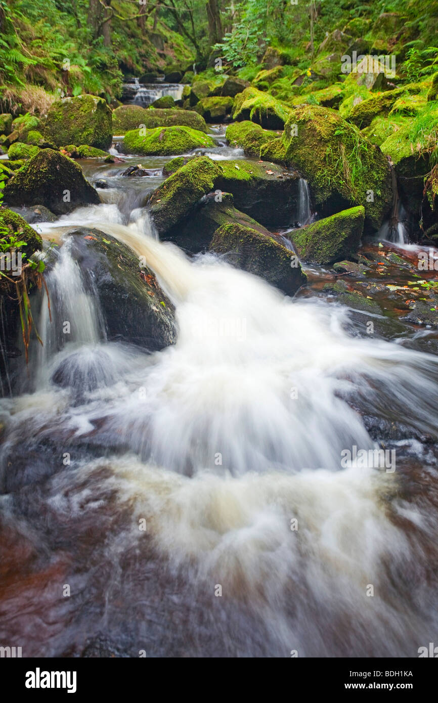 Burbage Brook running through Padley Gorge in the Peak District ...