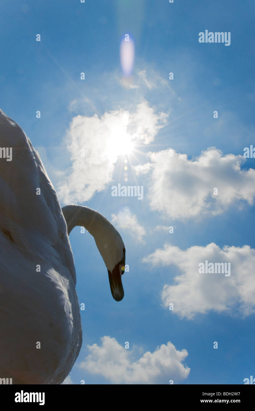 Extreme low angle view hi-res stock photography and images - Alamy