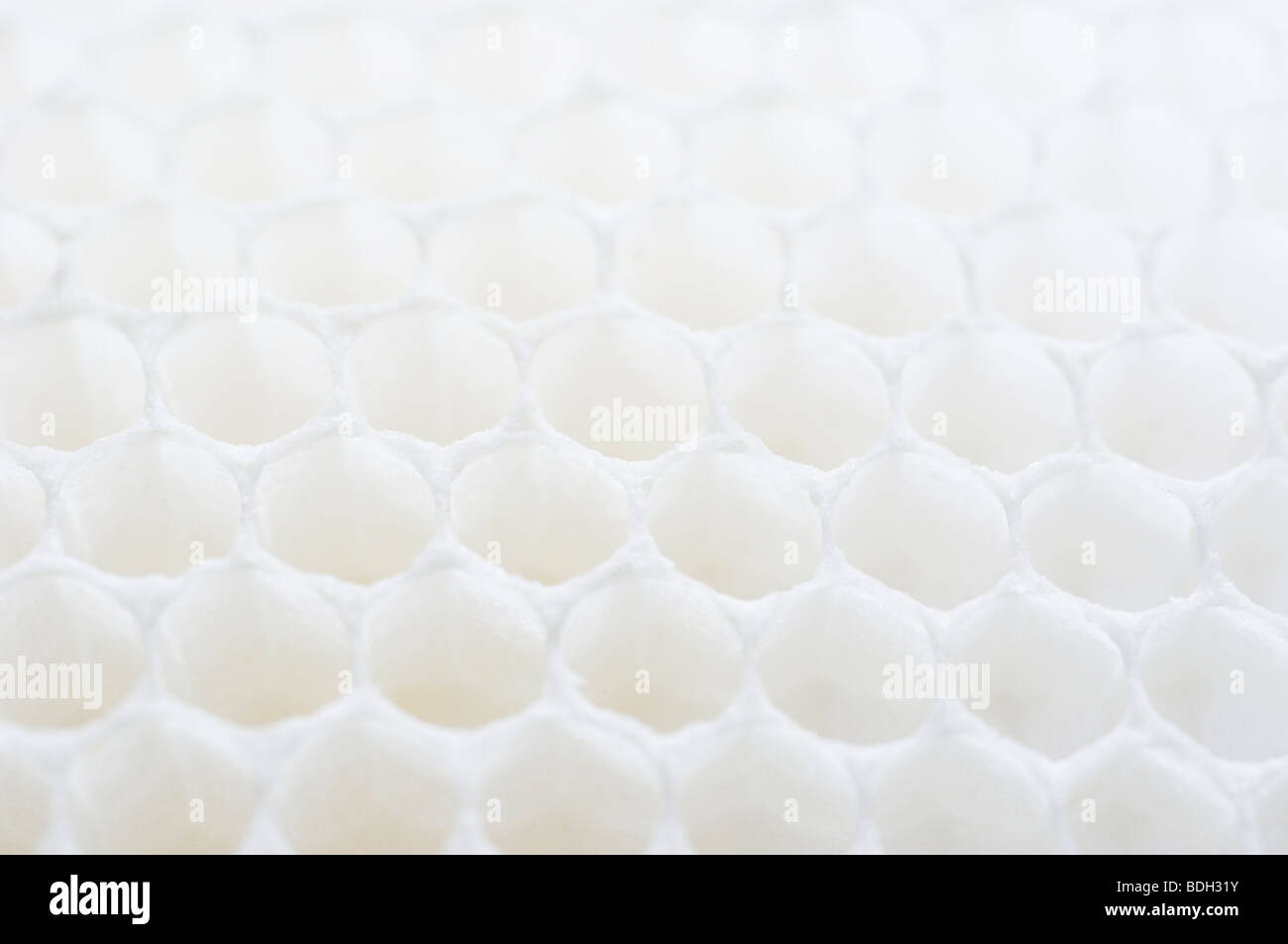 Empty newly built wild honey comb Stock Photo - Alamy
