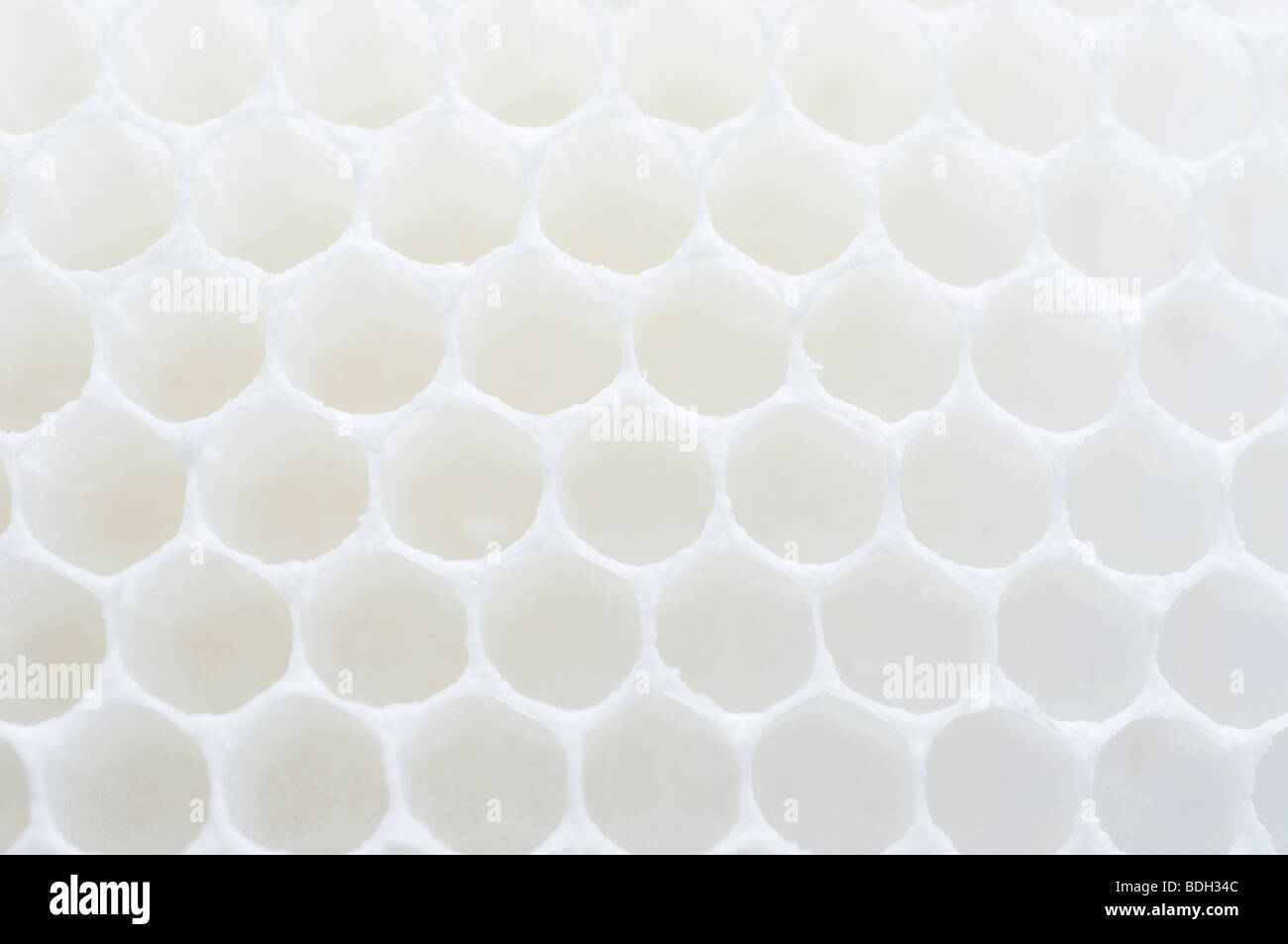 Empty newly built wild honey comb Stock Photo - Alamy