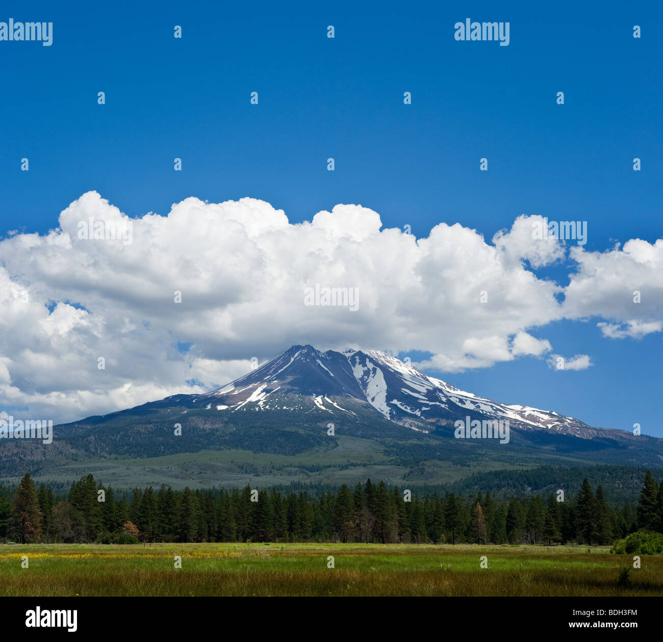 Mt shasta volcano hi-res stock photography and images - Alamy