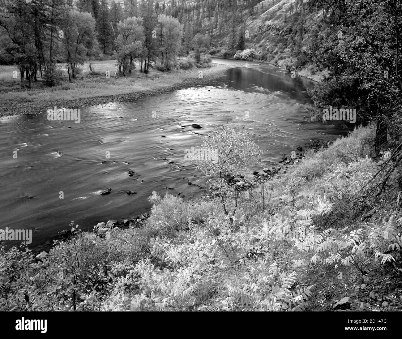 Grande Ronde River with red fall colored Sumac. Near Troy, Oregon Stock ...